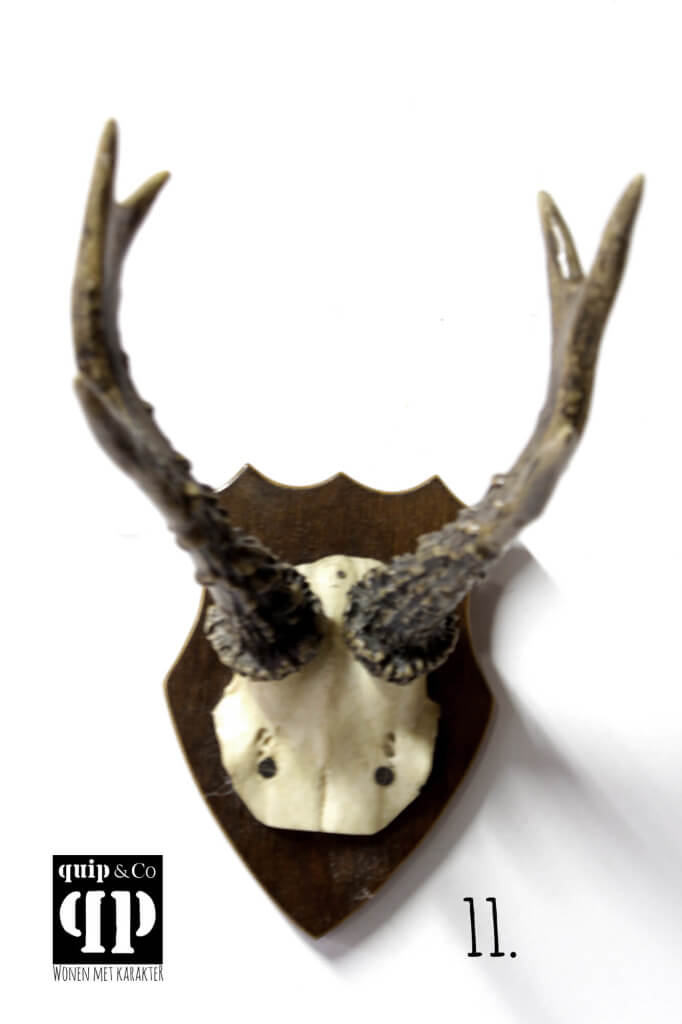 Gewei op schild van reeën zijn allemaal uniek en bijzonder bij quip&Co