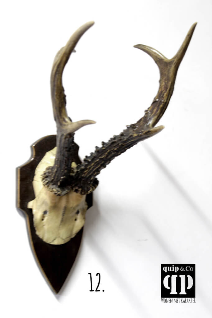 Gewei op schild van reeën zijn allemaal uniek en bijzonder bij quip&Co